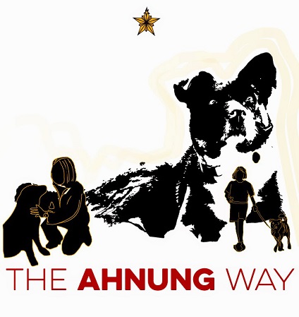 The Ahnung Way – 5 years later the seeds are sprouting! – Ahnung Way